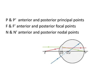 Schematic eye | PPTX