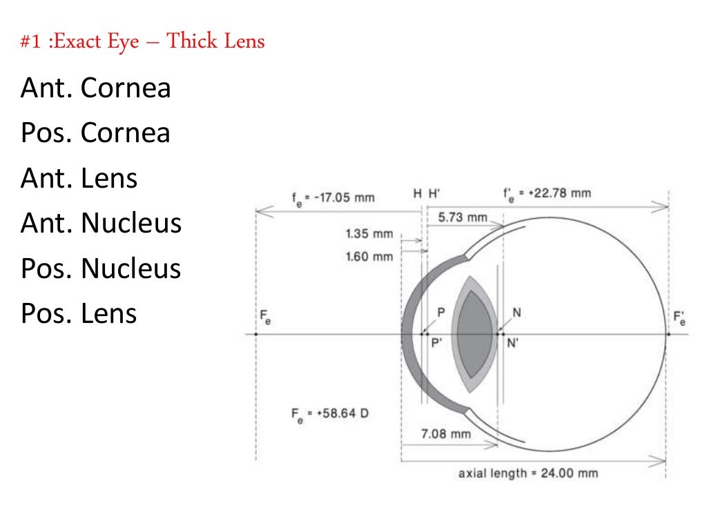 Schematic eye