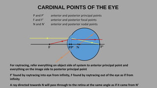 Schematic eye and cardinal points | PPT