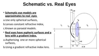 Schematic eye and cardinal points | PPT