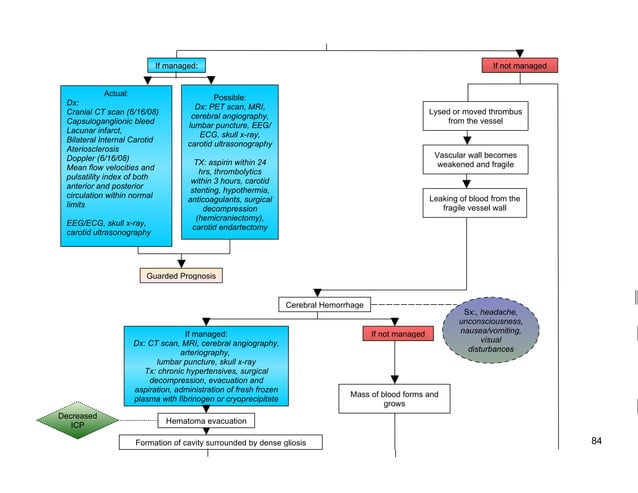 Schematic Pathophysiology Cva 1233470514641540 2 | PPT