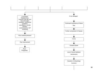 Schematic Pathophysiology Cva 1233470514641540 2 | DOC