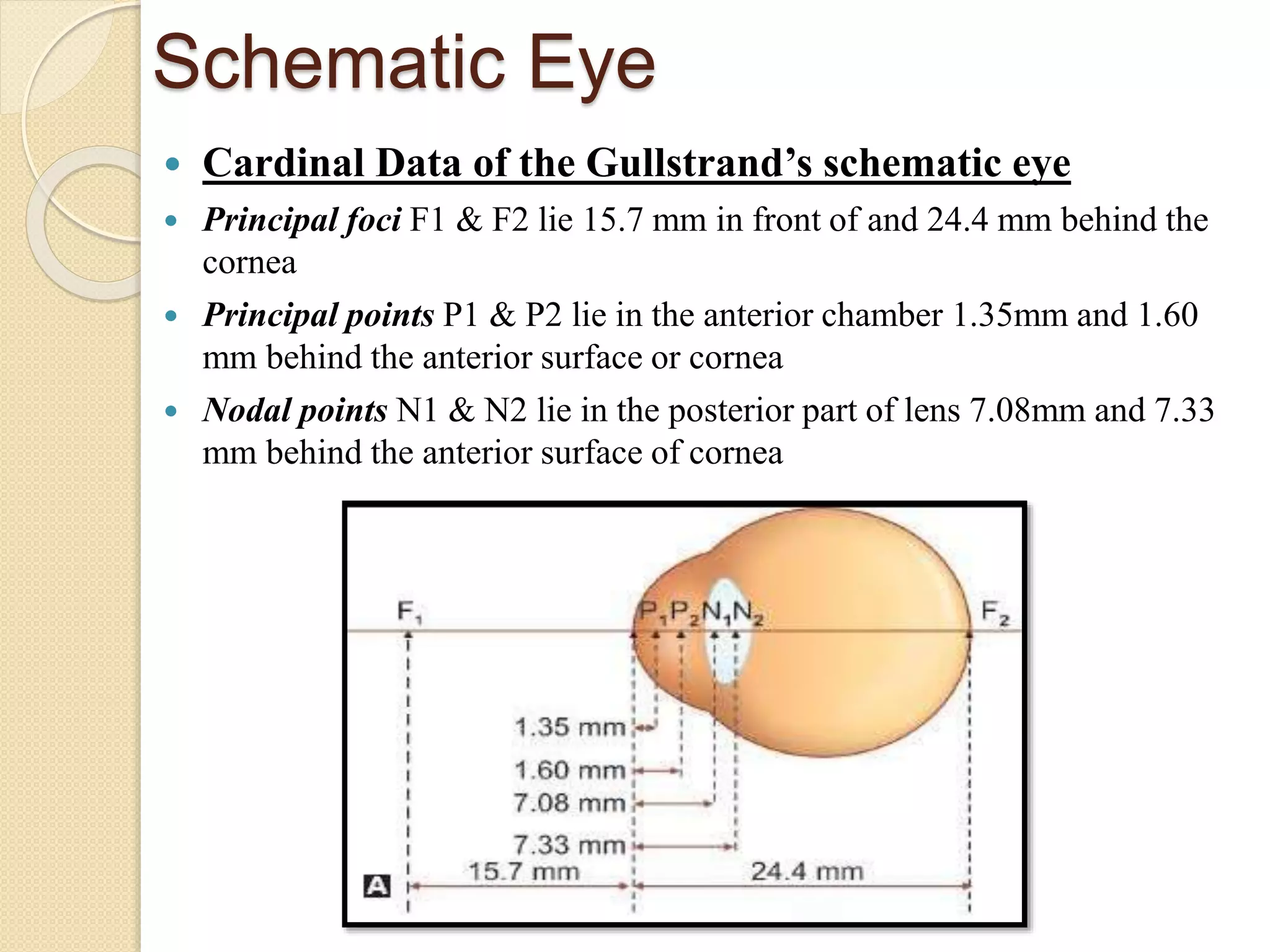 Schematic & Reduced Eye.pptx