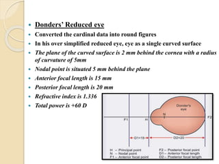 Schematic & Reduced Eye.pptx