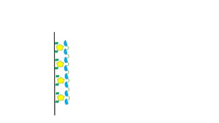 schematic representation of electrode preparation.pptx