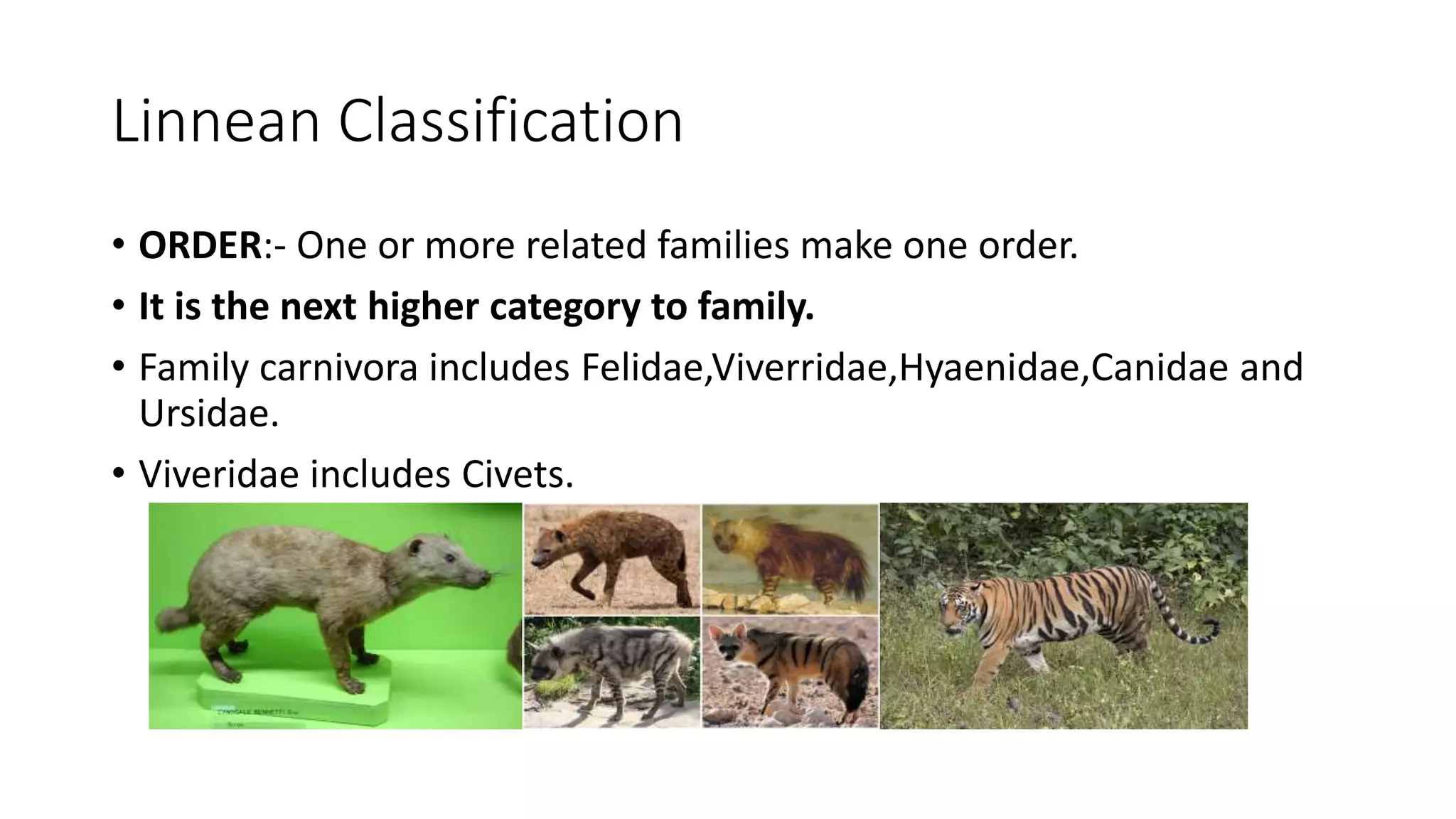 Scheme of classification | PPTX