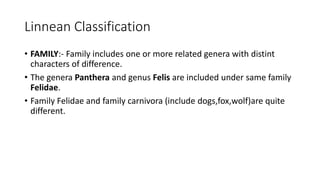 Scheme of classification | PPTX