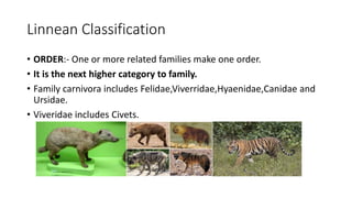 Scheme of classification | PPTX