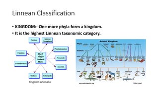 Scheme of classification | PPTX