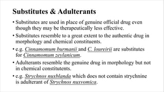 Scheme of pharmacognostic studies | PDF