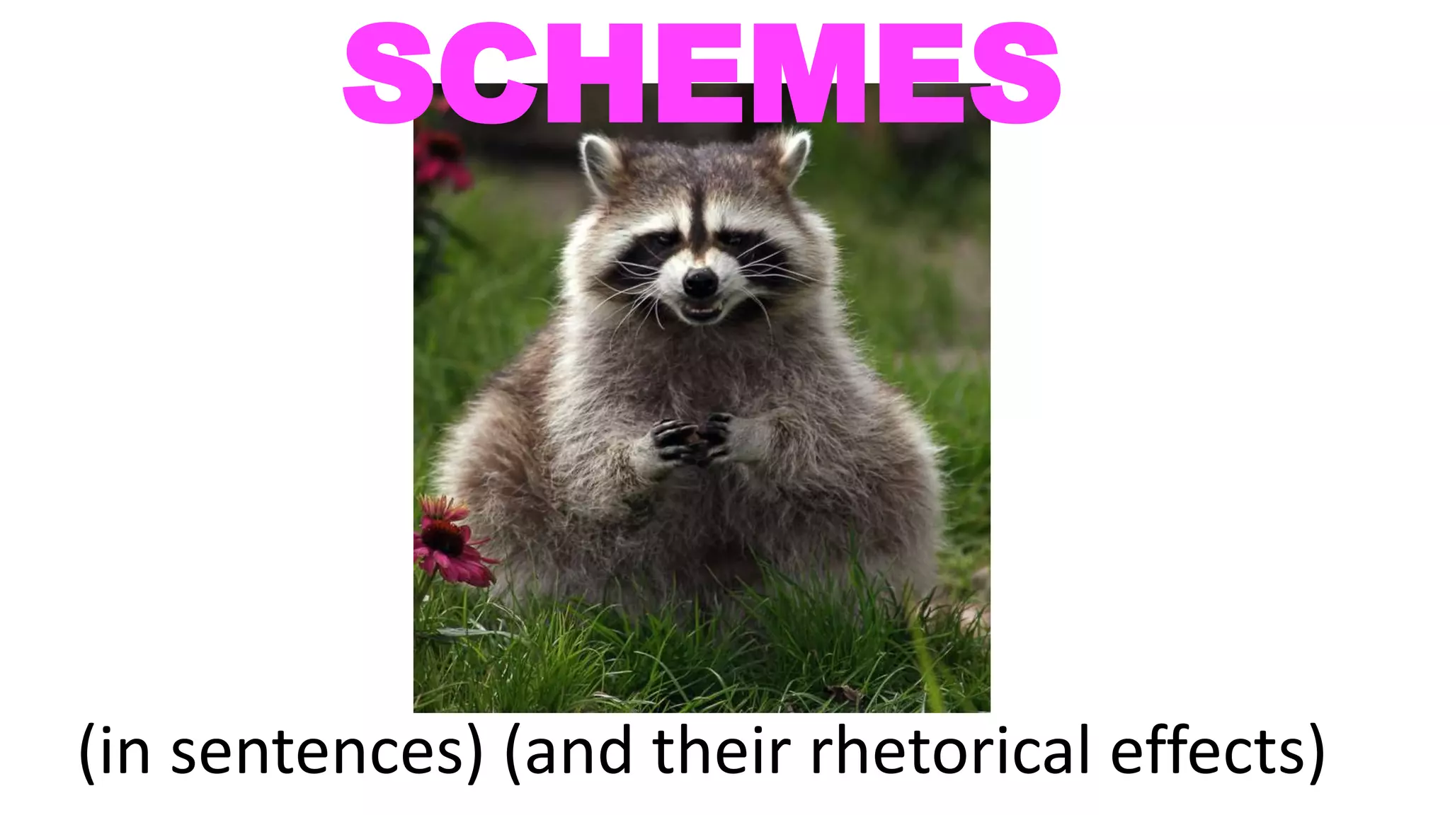 Schemes in Sentences and Their Rhetorical Effects | PPTX