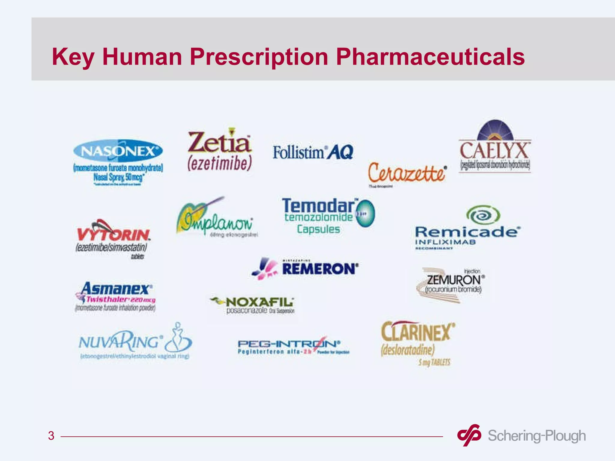 Schering Plough Pharma Career Day Ppt