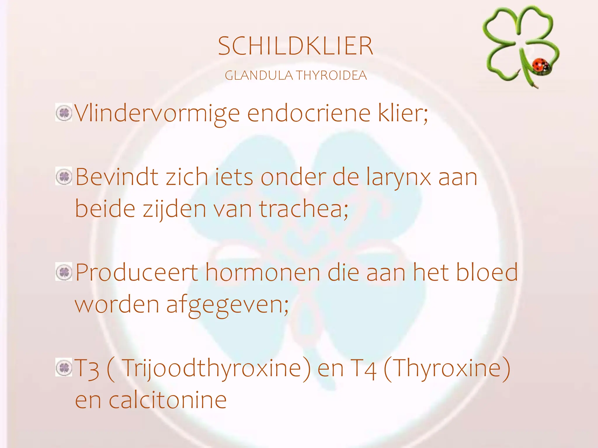 Schildklier powerpoint presentatie niveau 3 | PPTX