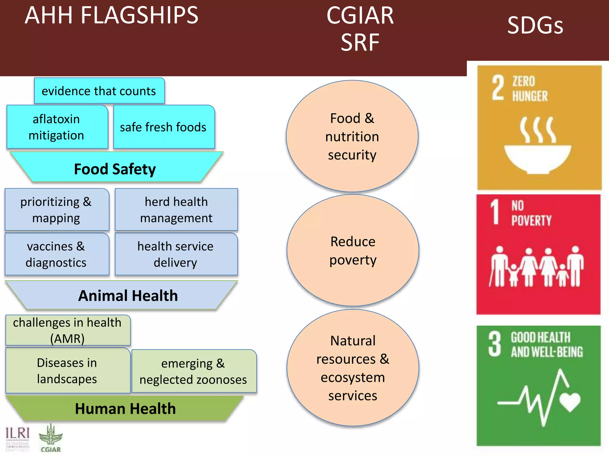 ILRI Animal and Human Health activities | PPTX | Infectious Diseases ...