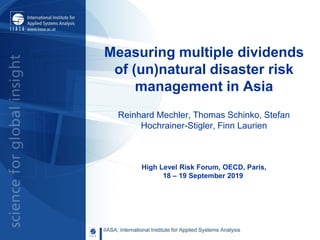 Measuring multiple dividends of (un)natural disaster risk management in ...