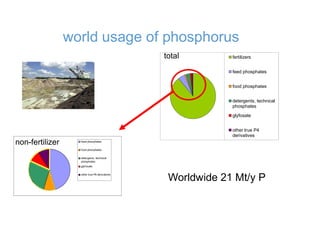 Willem Schipper – Willem Schipper Consulting - Phosphorus in industry ...