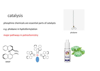 Willem Schipper – Willem Schipper Consulting - Phosphorus in industry ...
