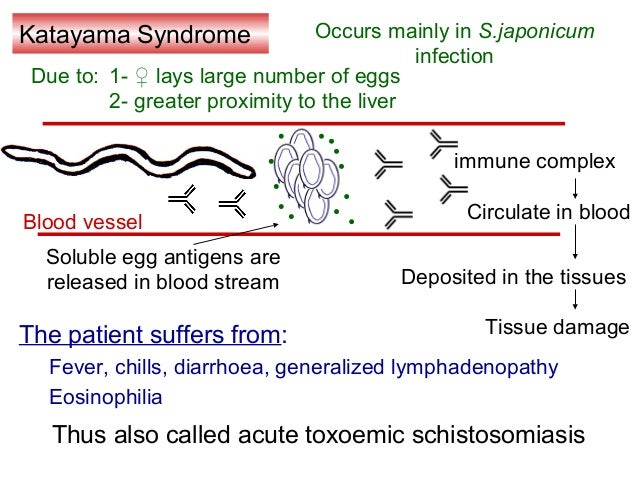 Schistosoma parasitology kasr el Einy department