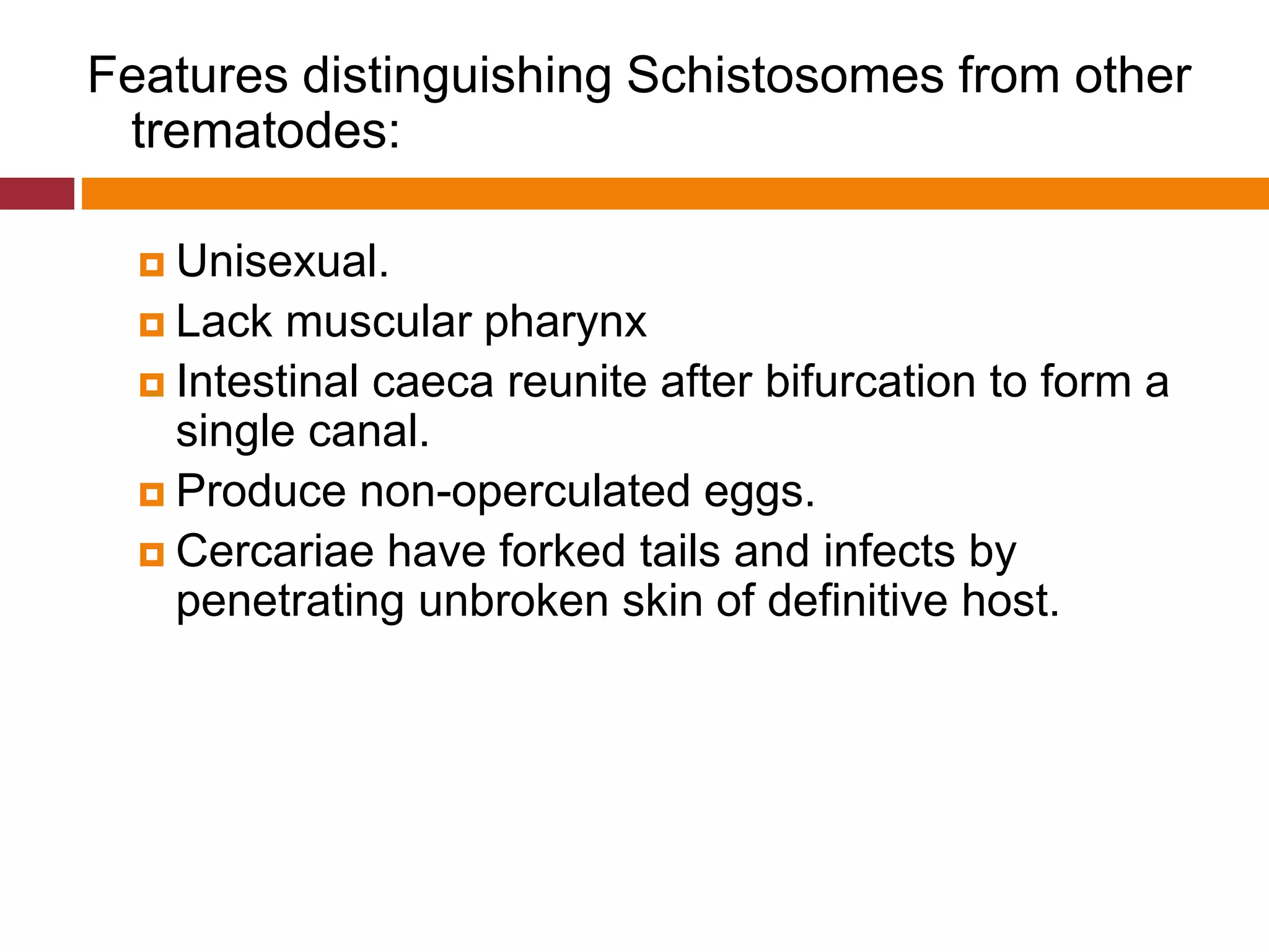 Schistosoma haematobium | PPTX