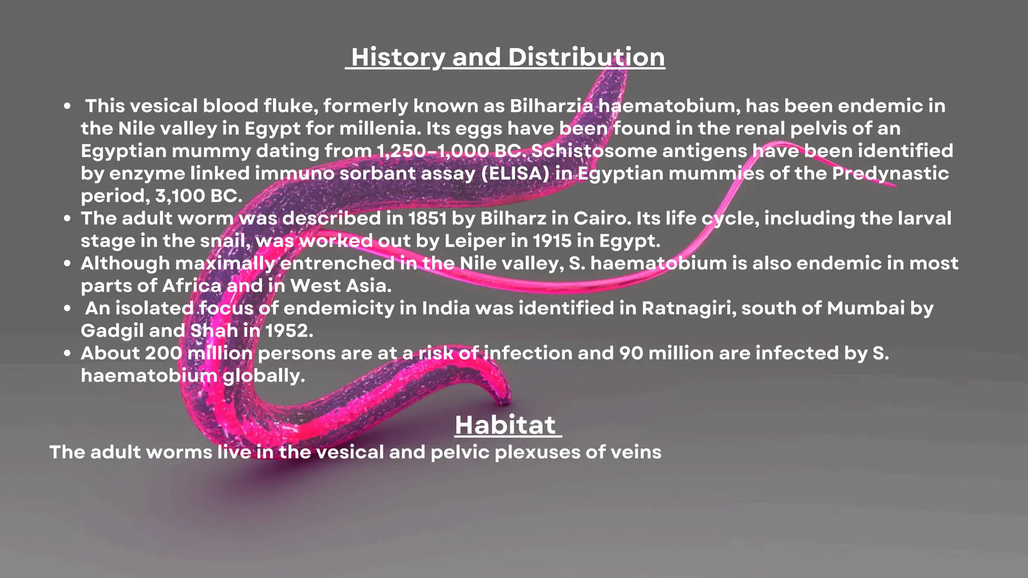 SCHISTOSOMA HEAMATOBIUM life cycle .pdf