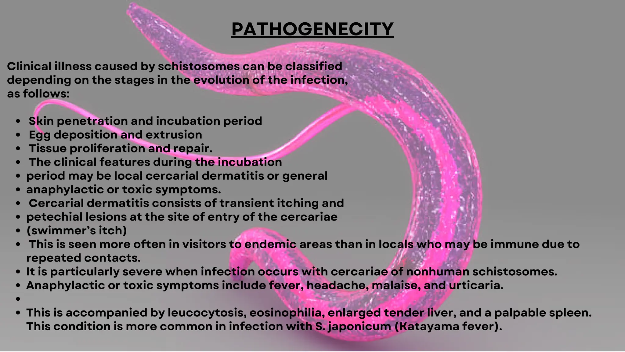 SCHISTOSOMA HEAMATOBIUM life cycle .pdf