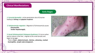 Schistosoma Hematobium and Bladder Cancer..pptx