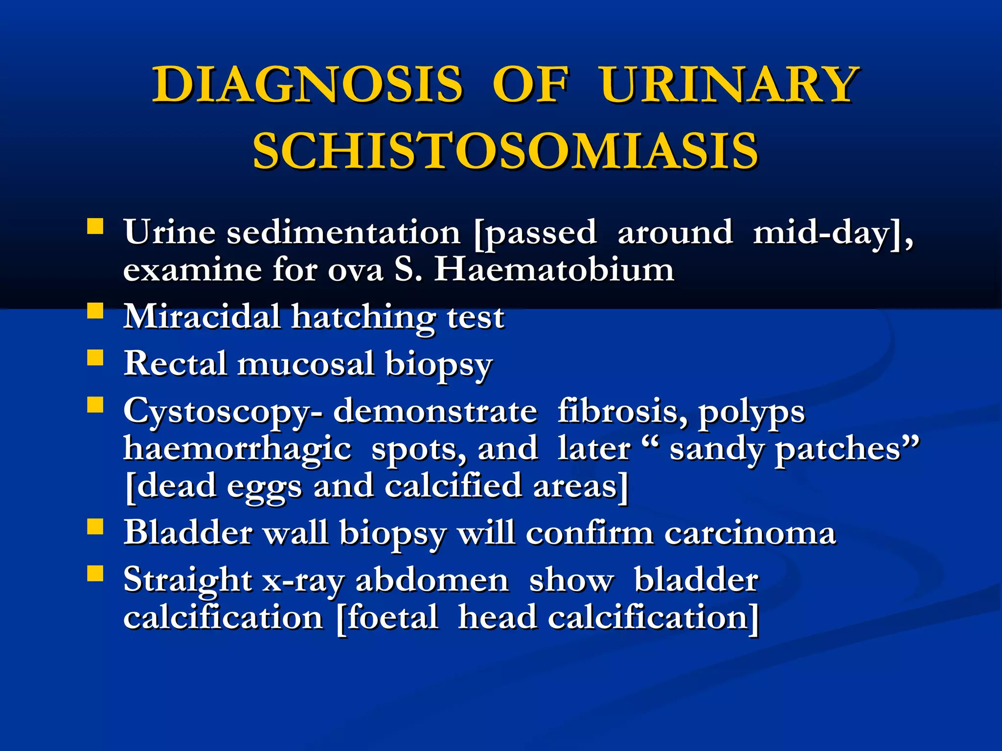 Schistosomiasis | PPT