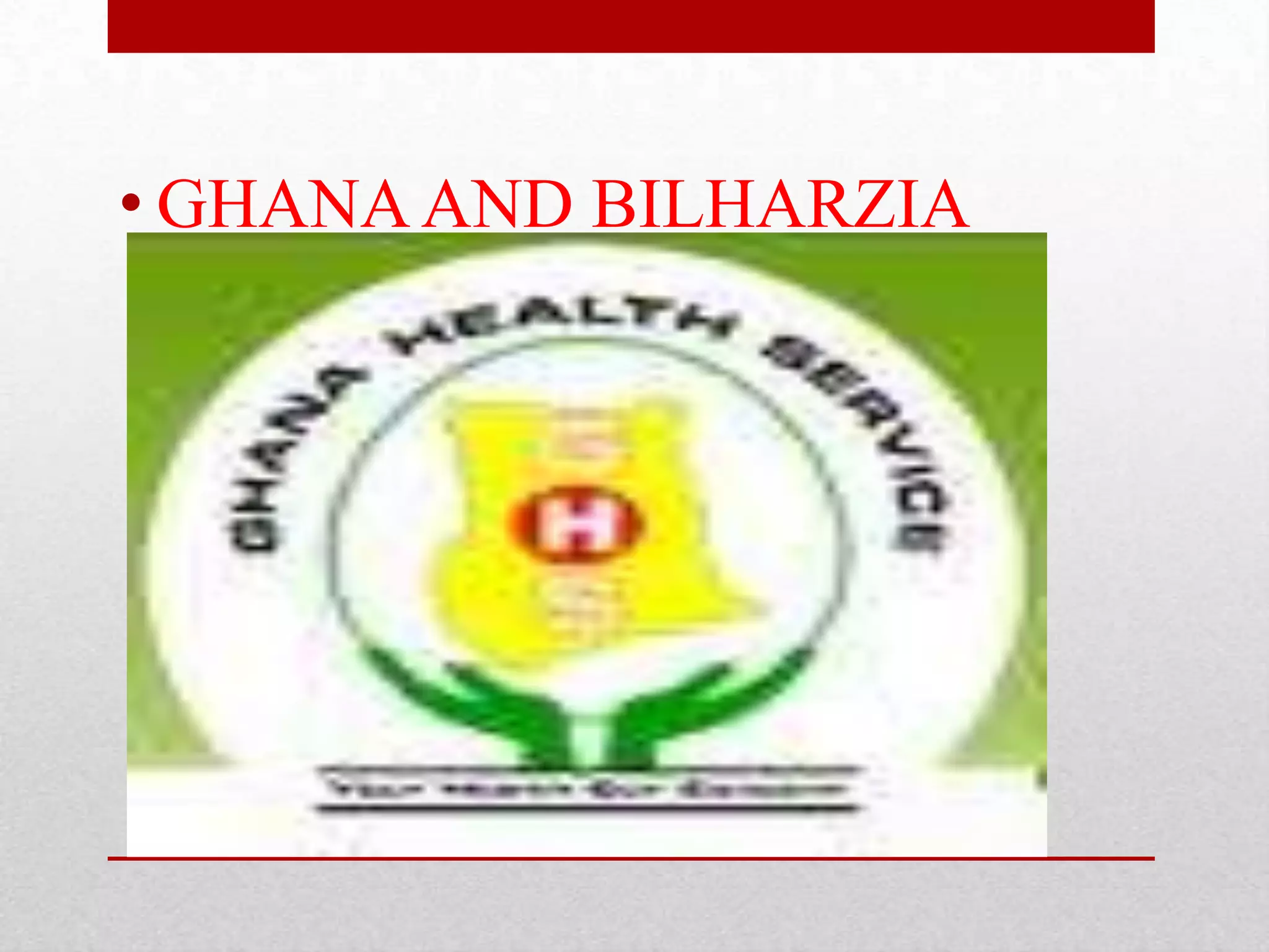 Schistosomiasis | PPTX