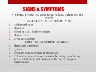 Schistosomiasis | PPTX