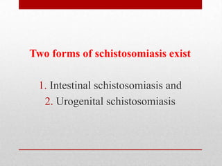 Schistosomiasis | PPTX
