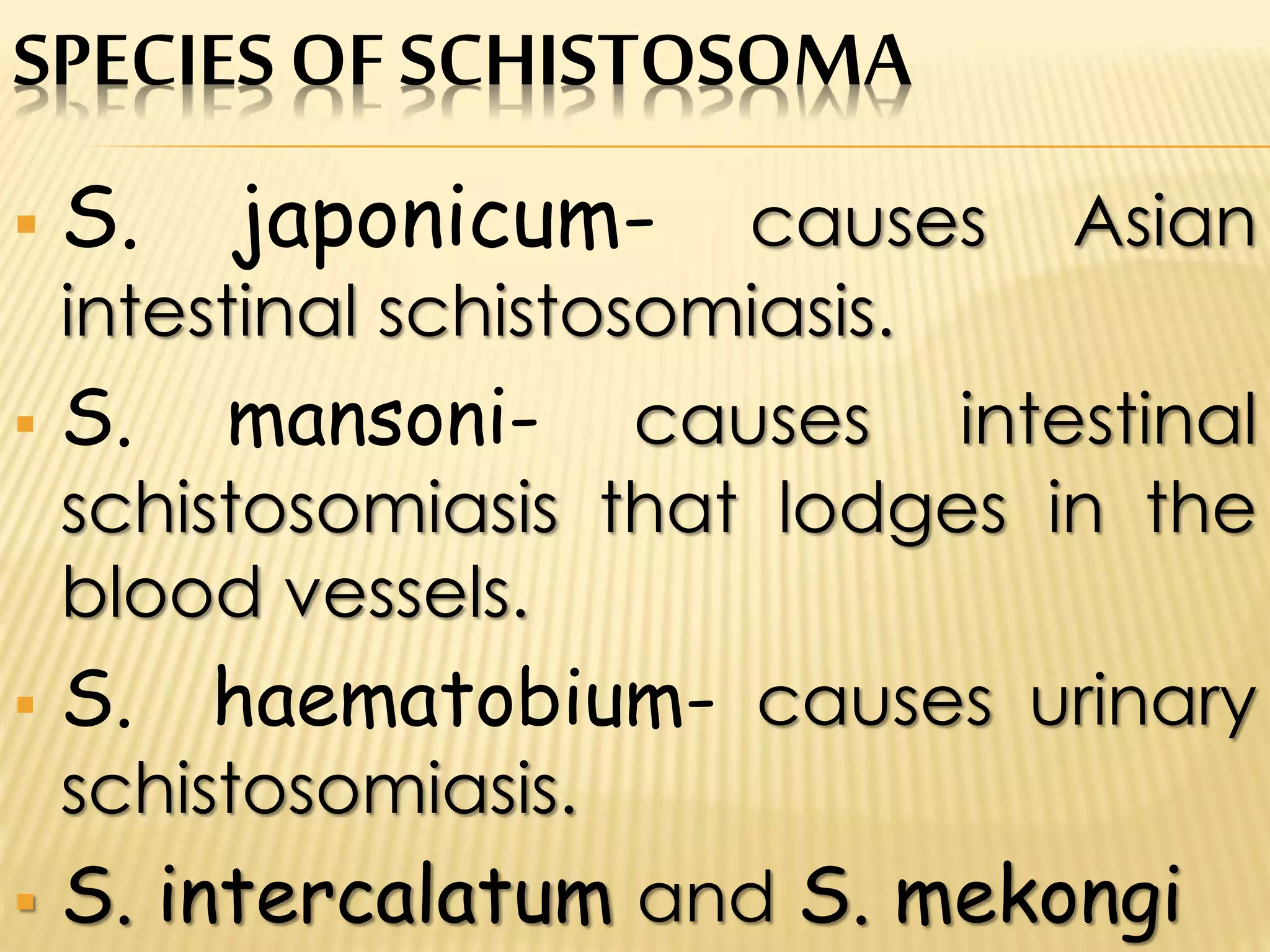 Schistosomiasis | PPTX