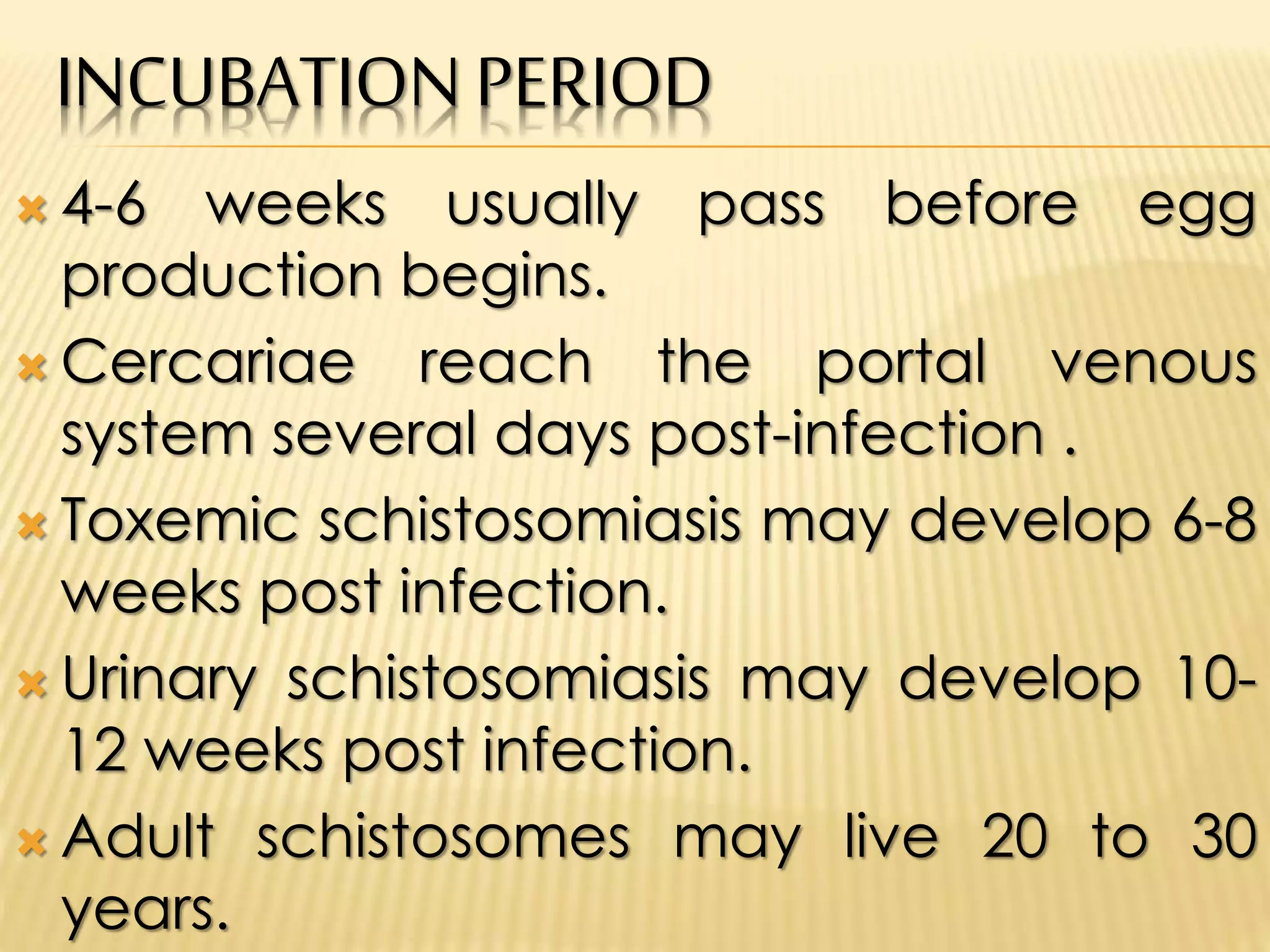 Schistosomiasis | PPTX
