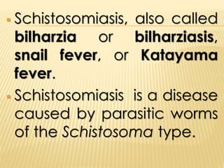 Schistosomiasis | PPT