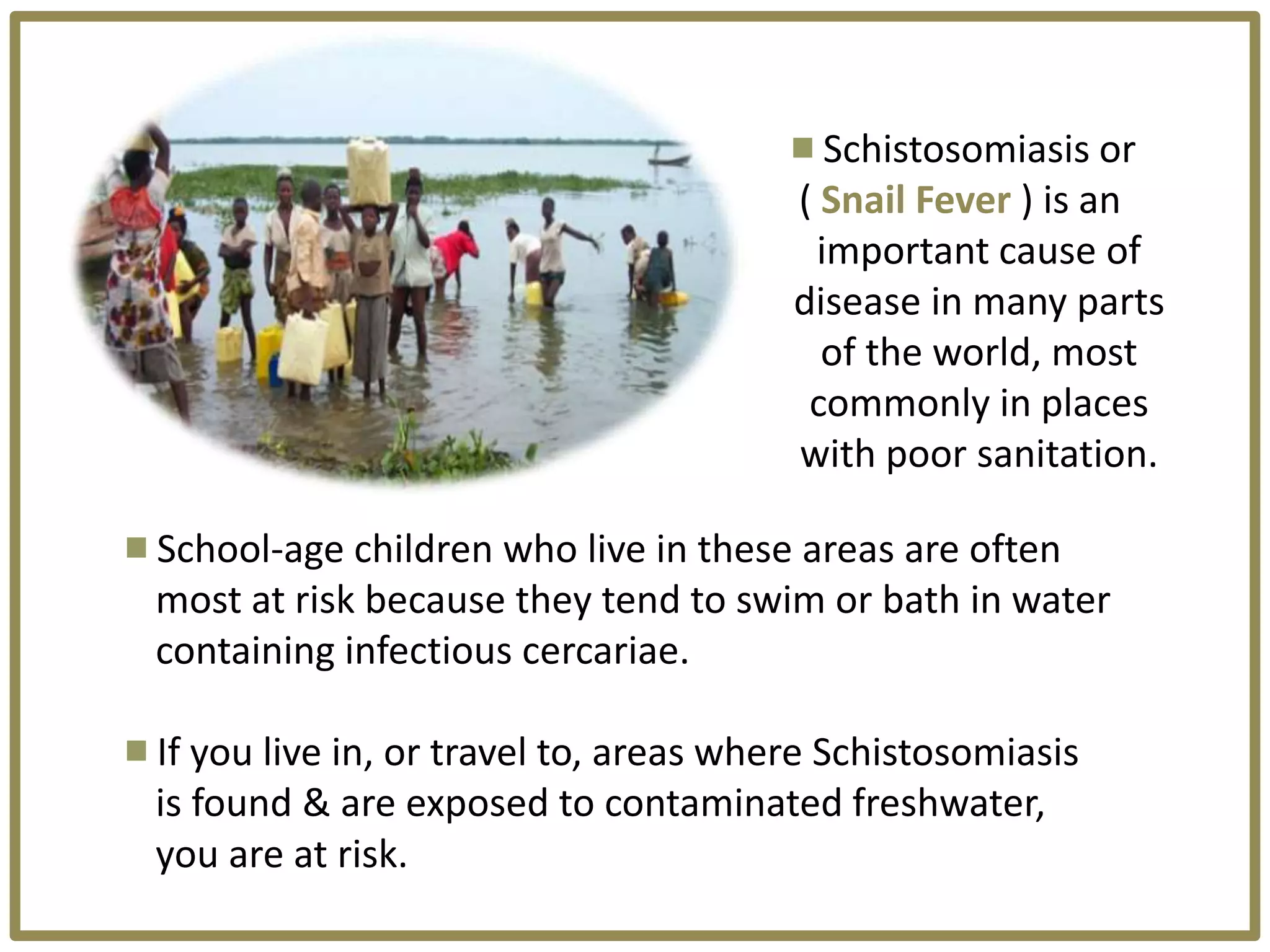 Schistosomiasis | PPTX