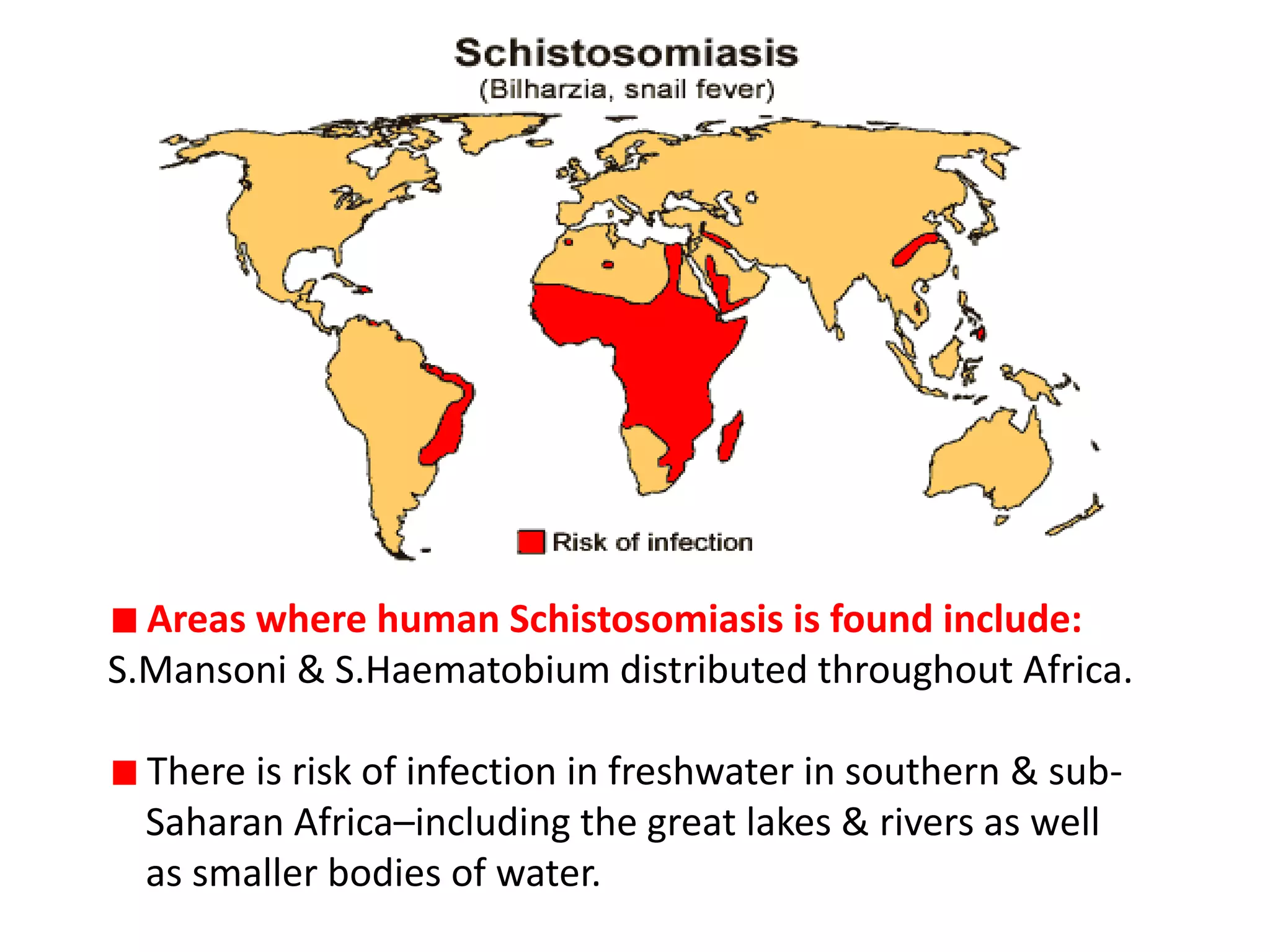 Schistosomiasis | PPTX