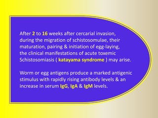 Schistosomiasis | PPTX