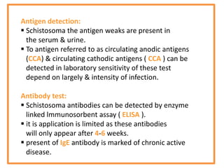 Schistosomiasis | PPTX