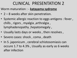 Neglected tropical diseases - Schistosomiasis (bilharzia) | PPTX