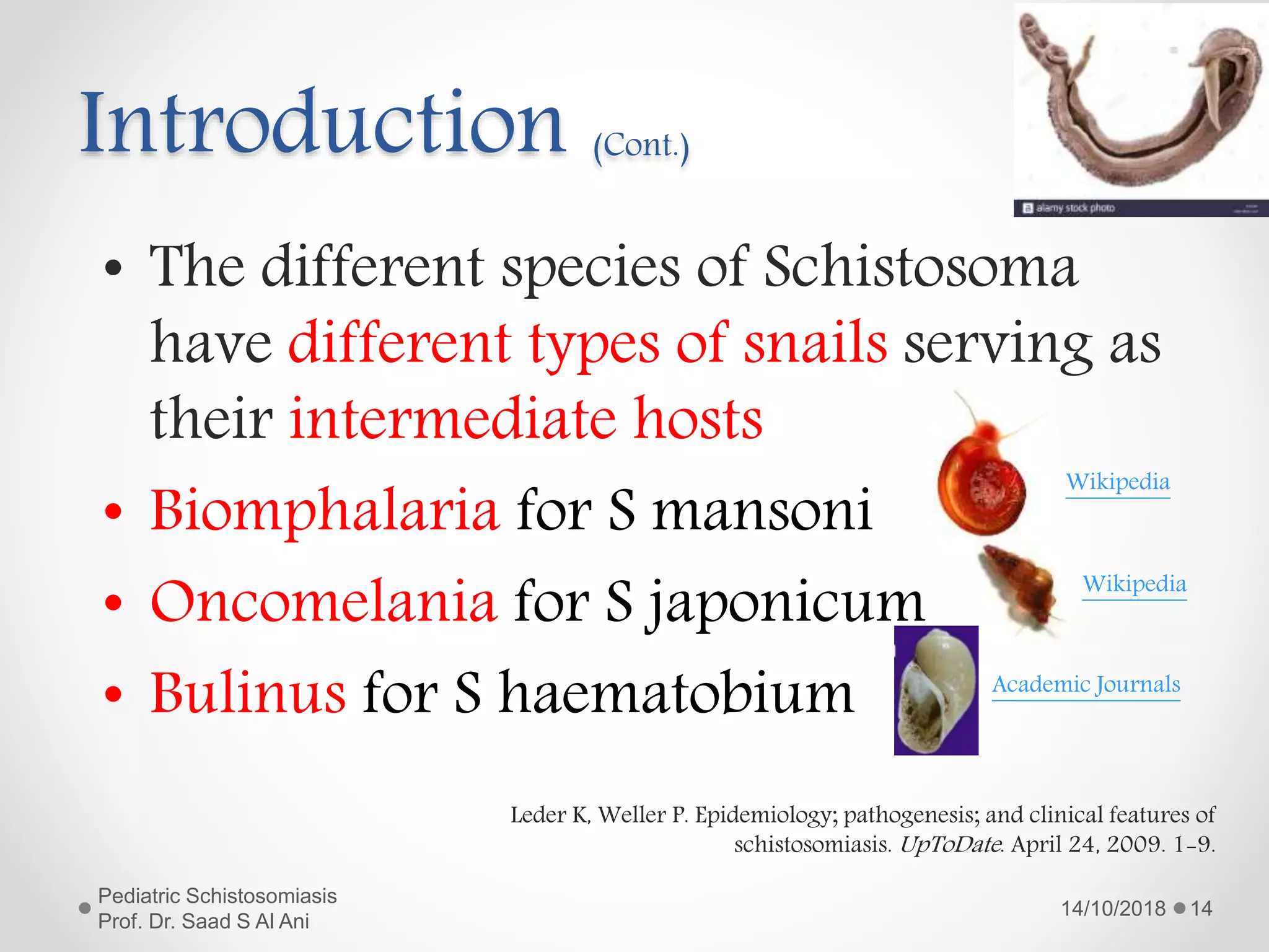 Schistosomiasis | PPTX