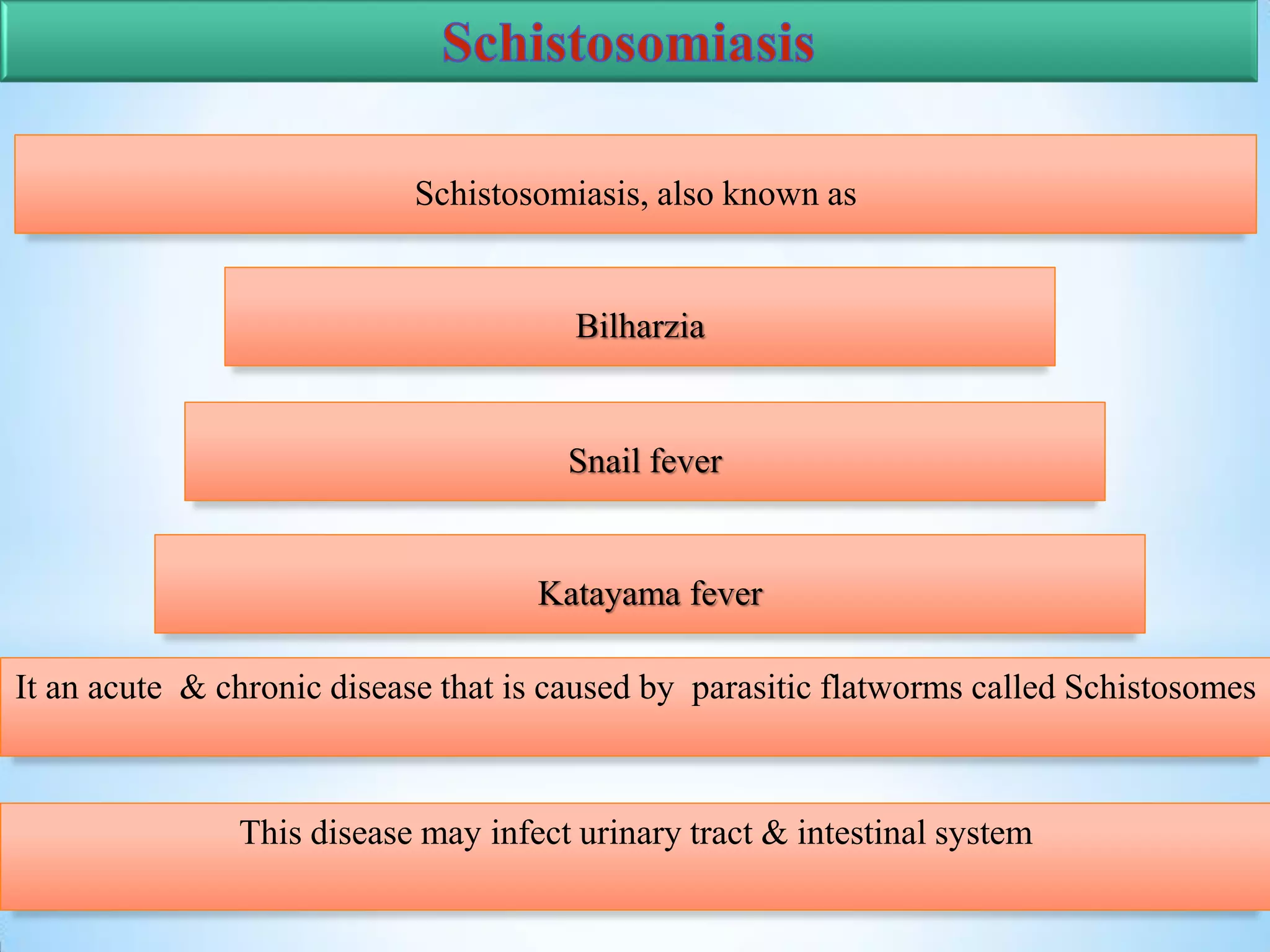 Schistosomiasis | PDF