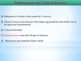 Schistosomiasis | PDF
