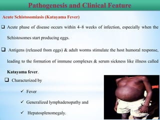 Schistosomiasis | PPT