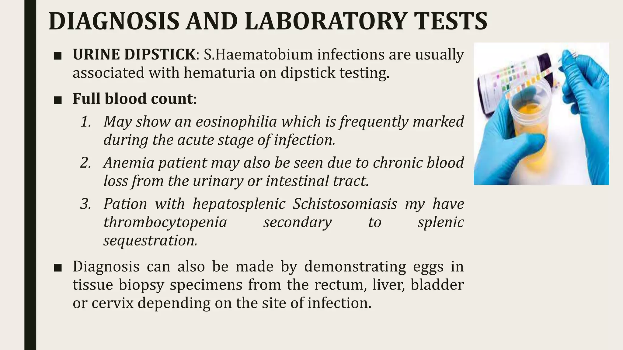 Schistosomiasis.pptx