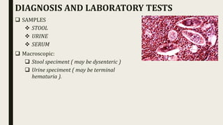 Schistosomiasis.pptx