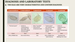 Schistosomiasis.pptx