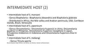 SCHISTOSOMIASIS.pptx