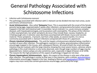 schistosomiasis.pdf