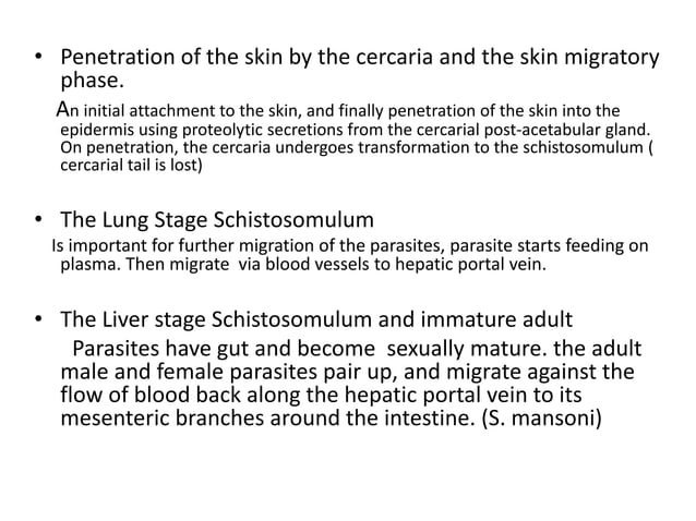 schistosomiasis.pdf