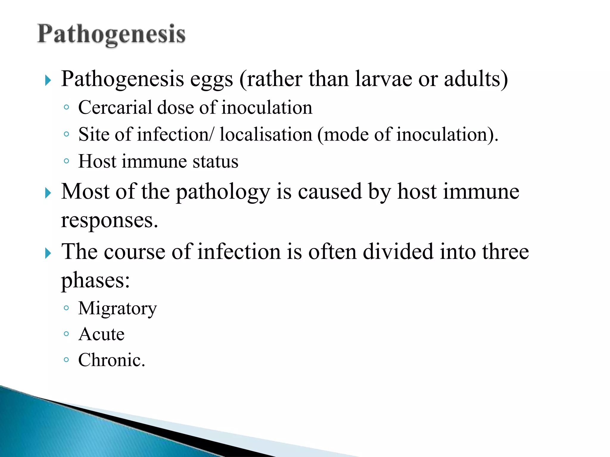 schistosomiasis.pptx