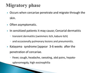schistosomiasis.pptx